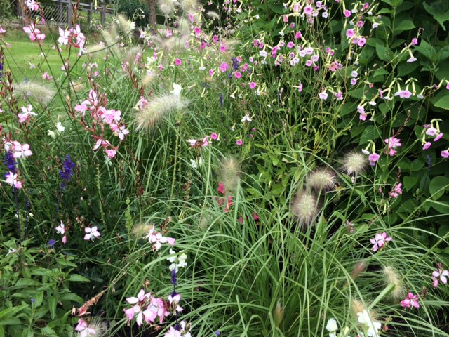 Startseite - Hausarztpraxis Antje Hatzler